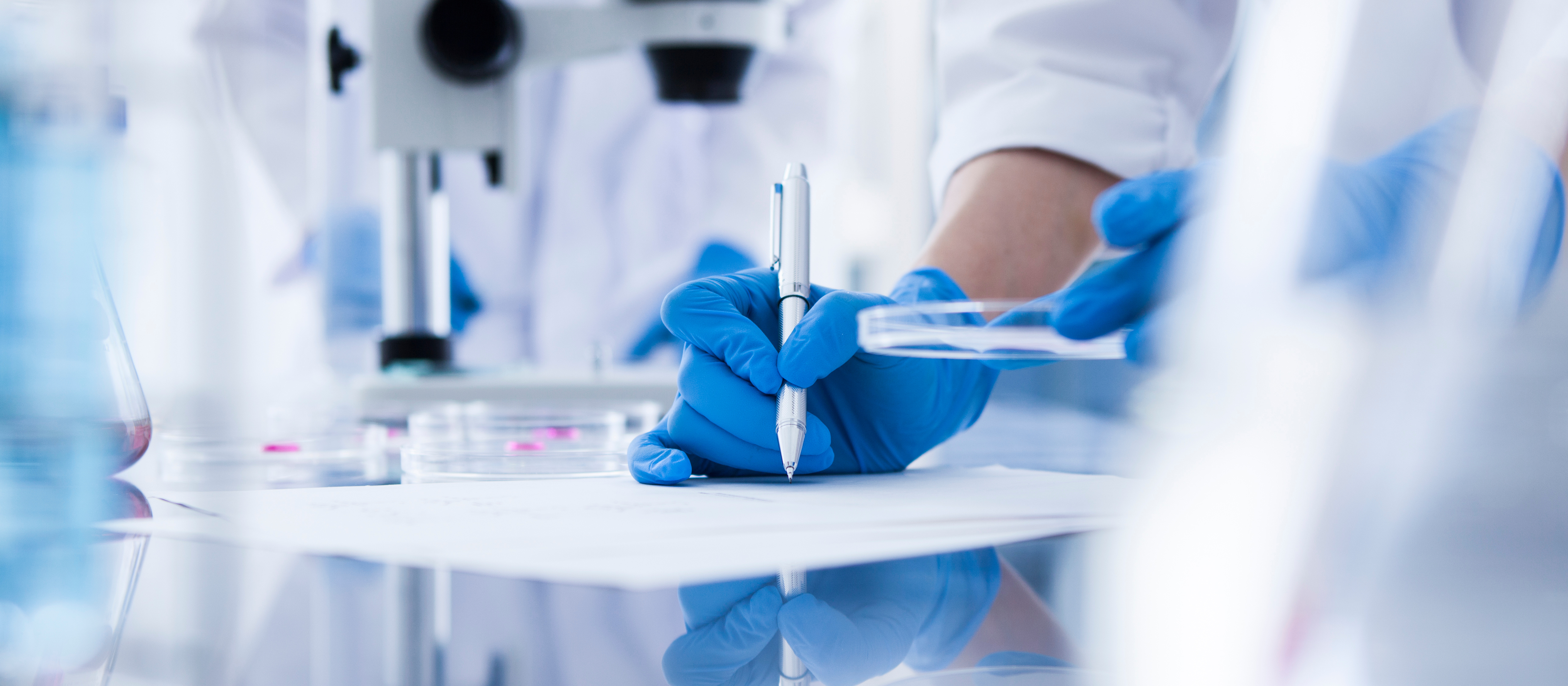 Bürokratieabbau im Bereich Wissenschaft, Forschung und Kultur ...